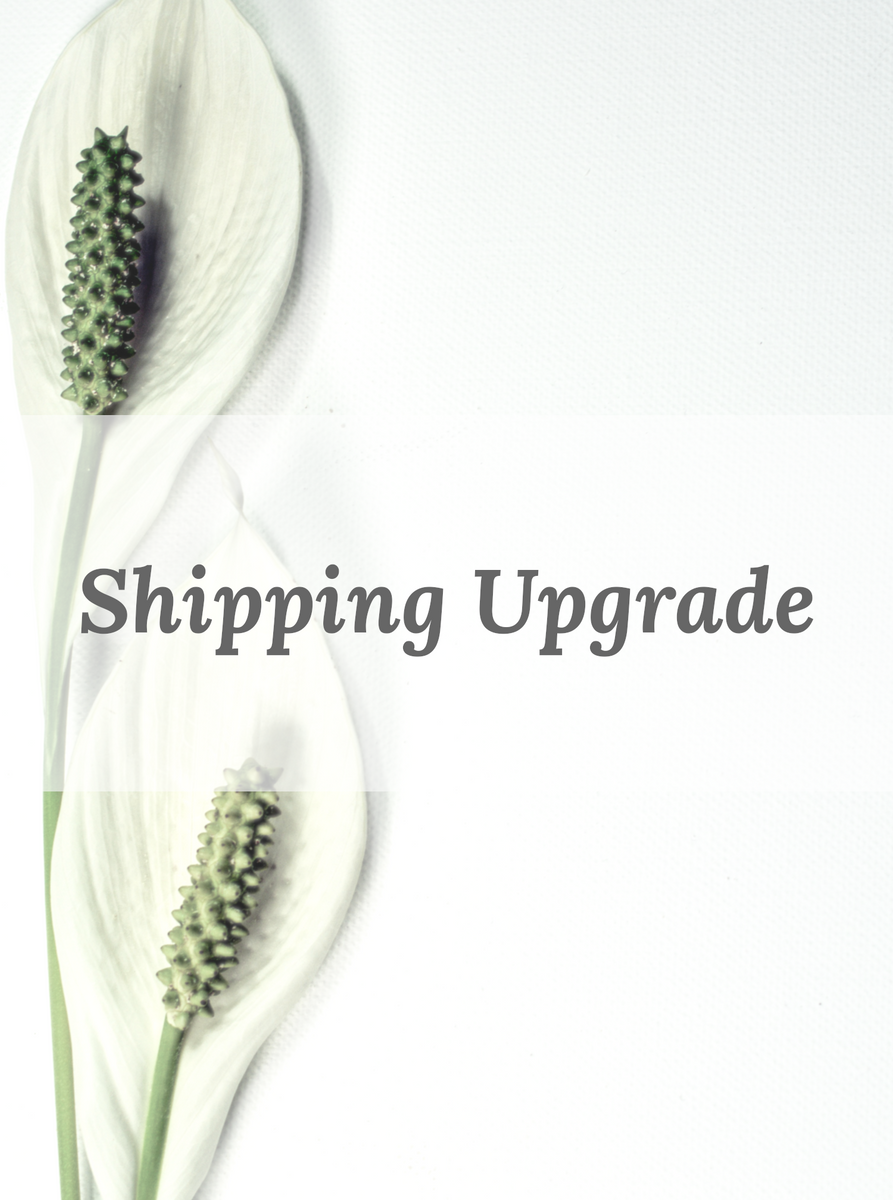 Shipping Upgrade – Irresistibly Minimal